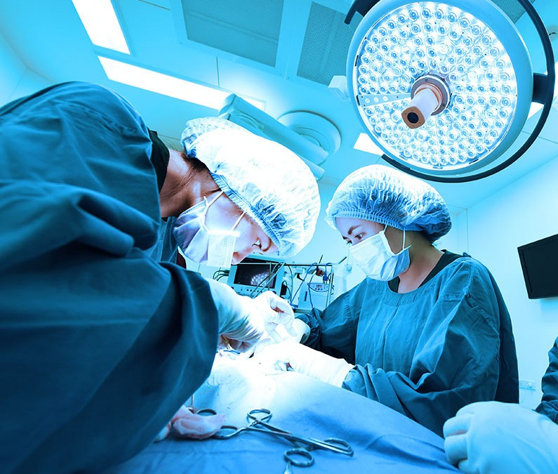 Operacija matičnim ćelijama za vikend u Kliničkom centru Vojvodine ...